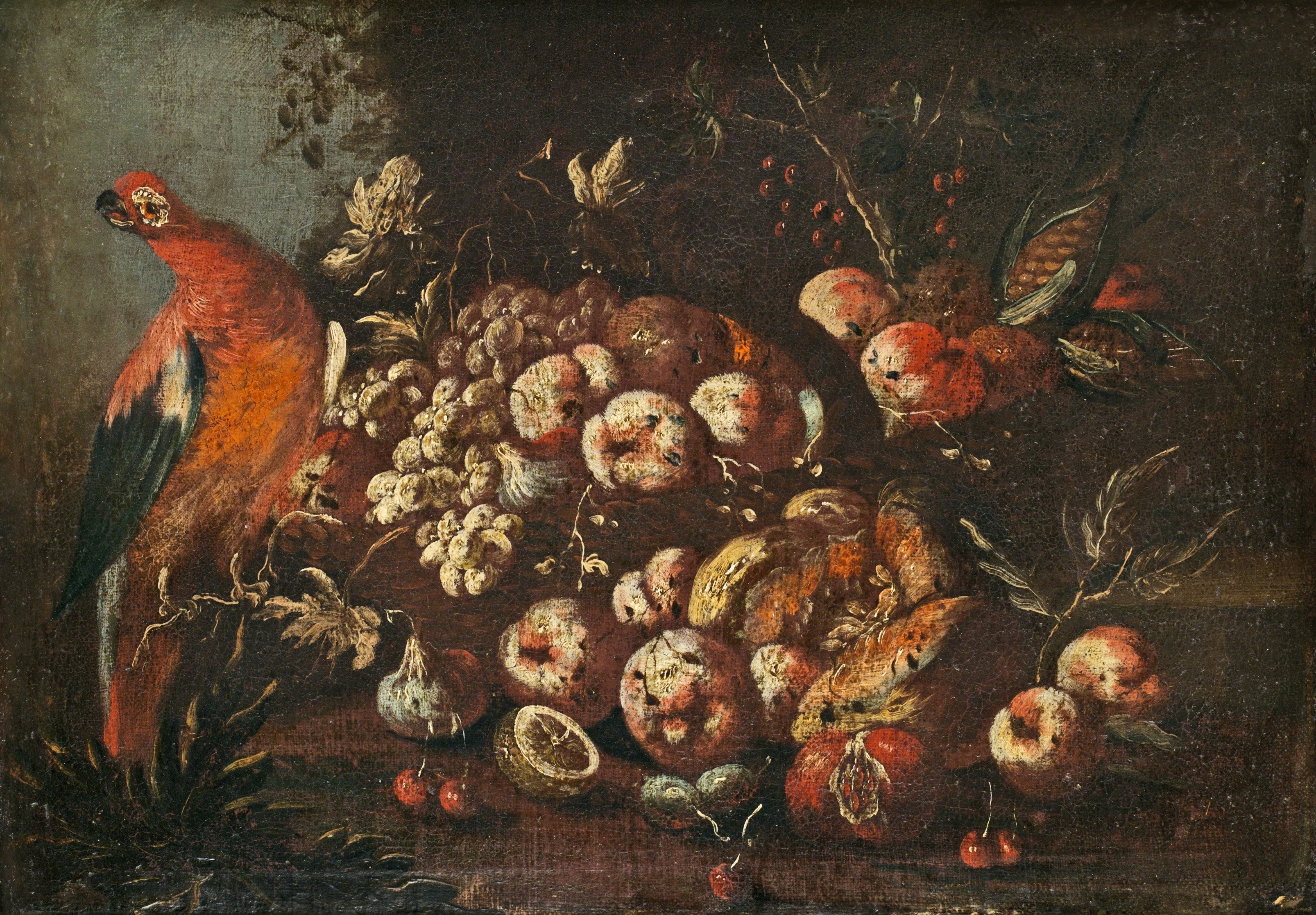 Giovanni Paolo Castelli ("Spadino") Hans art, Stilleben med papegoja ...