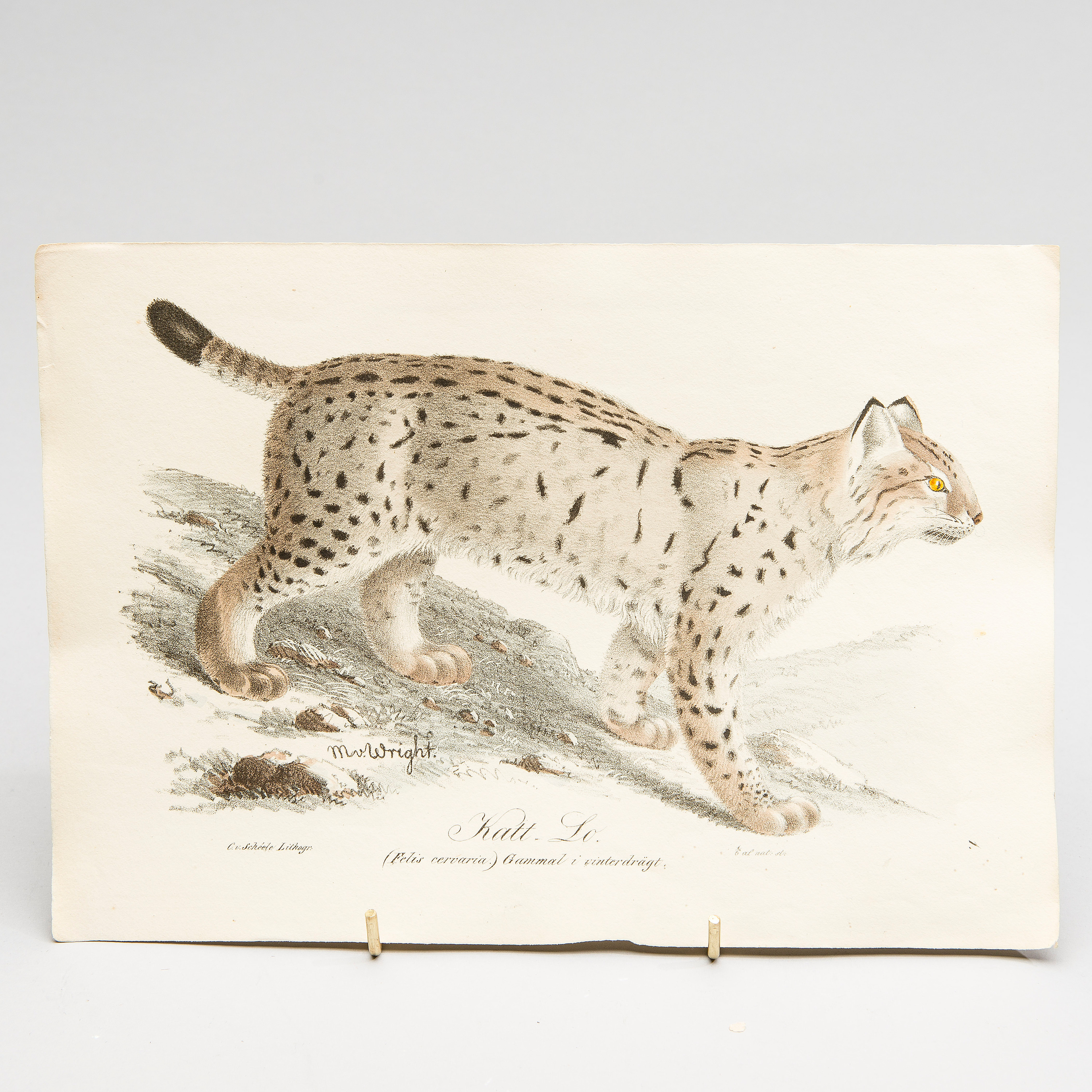 BOK, S. Nilsson, Illuminerade figurer till Skandinavisk fauna, med ...