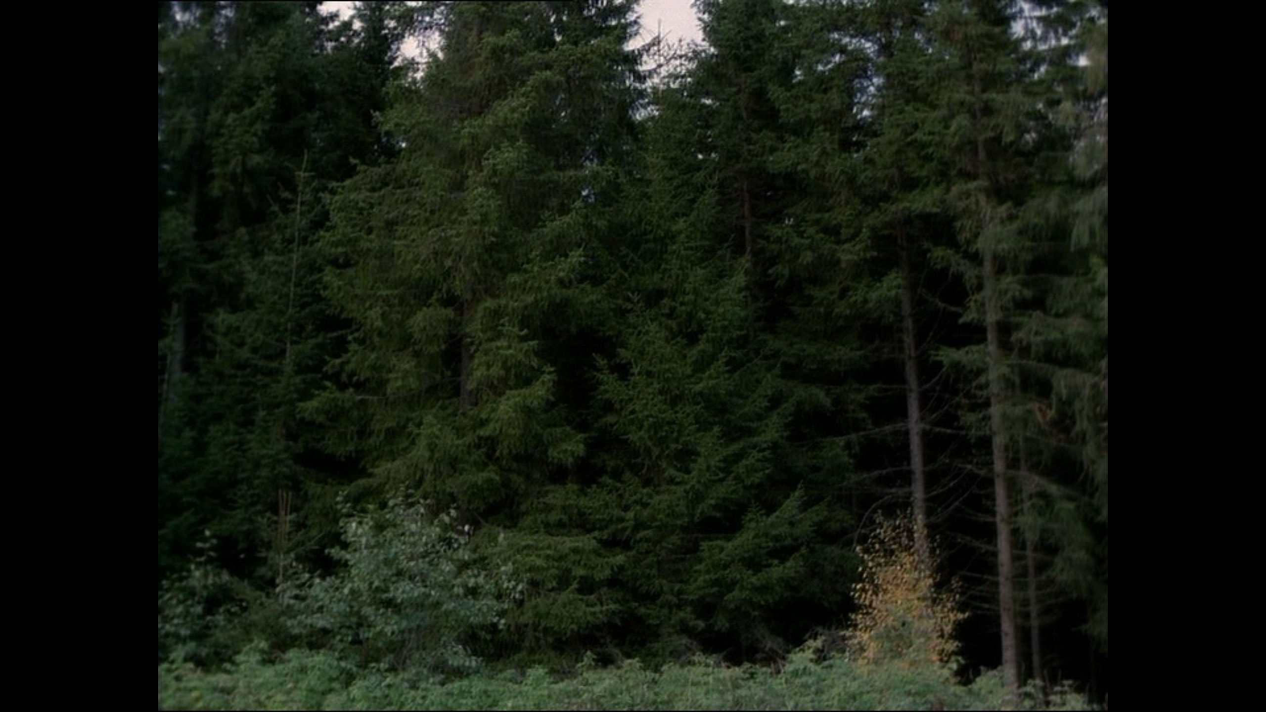 ANNE KATRINE DOLVEN, "2:57". - Bukowskis