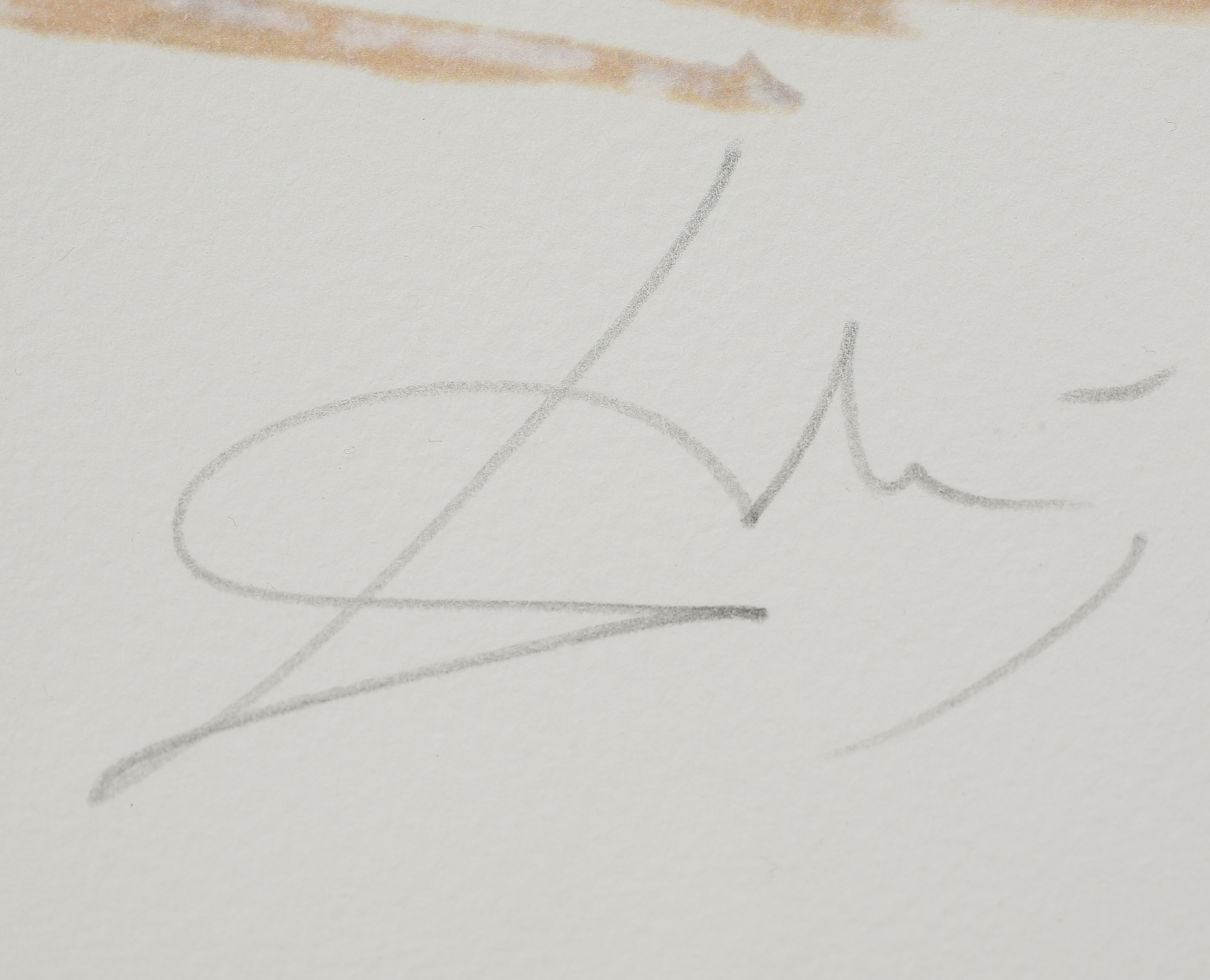 SALVADOR DALÍ, litograph in colour, signed and numbered 179/300, 1976 ...