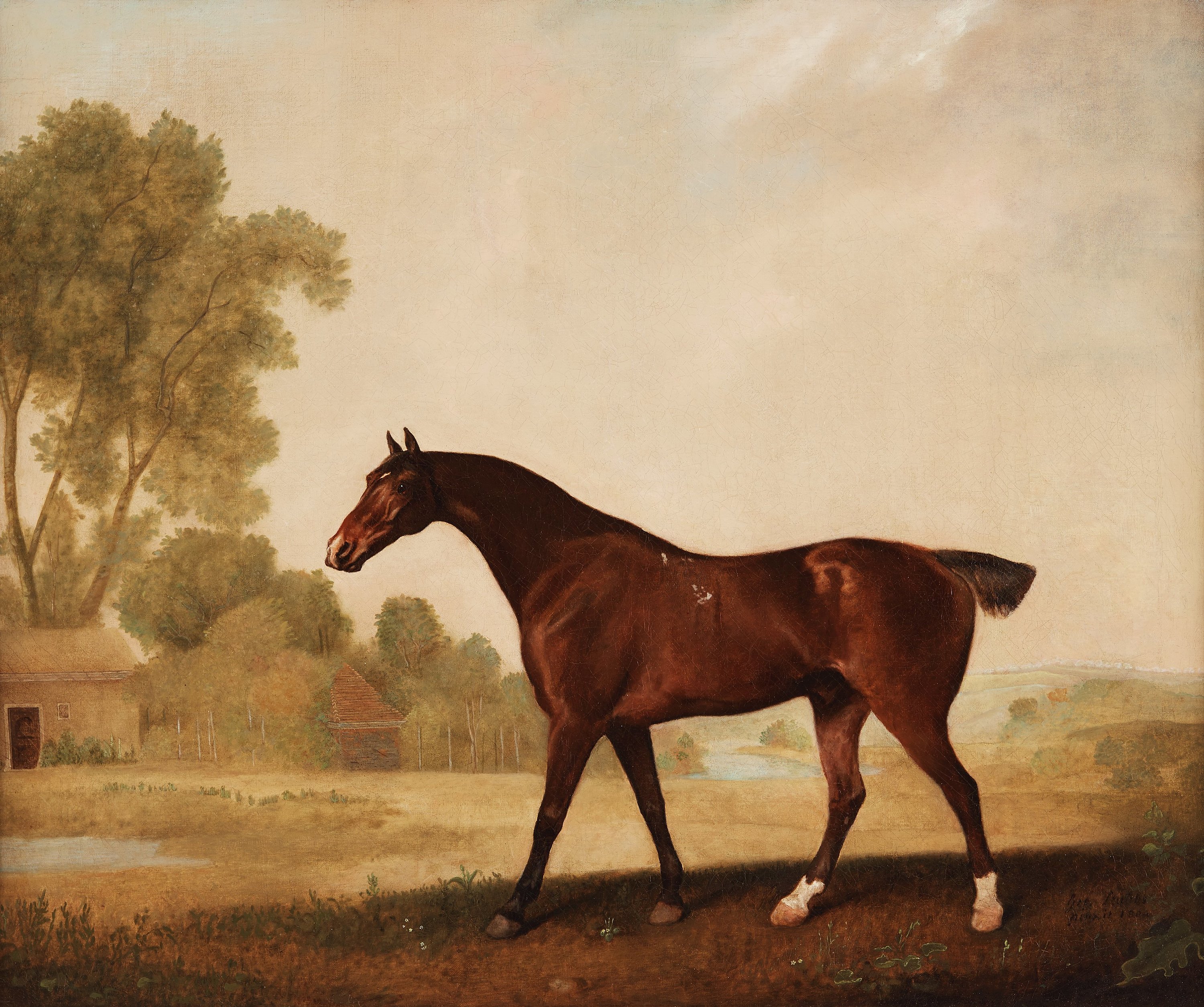 George Stubbs, "Eagle, a bay racehorse". - Bukowskis