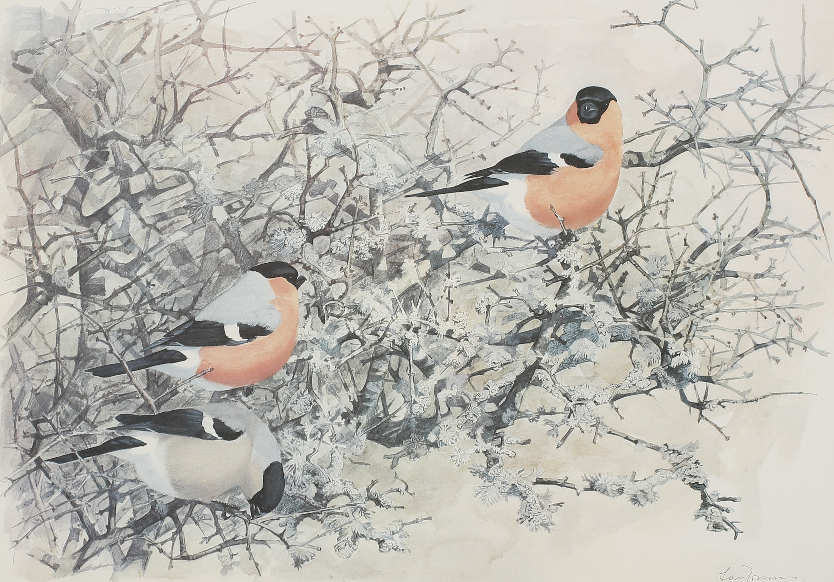 LARS JONSSON, print, signed and numbered 118/200. - Bukowskis