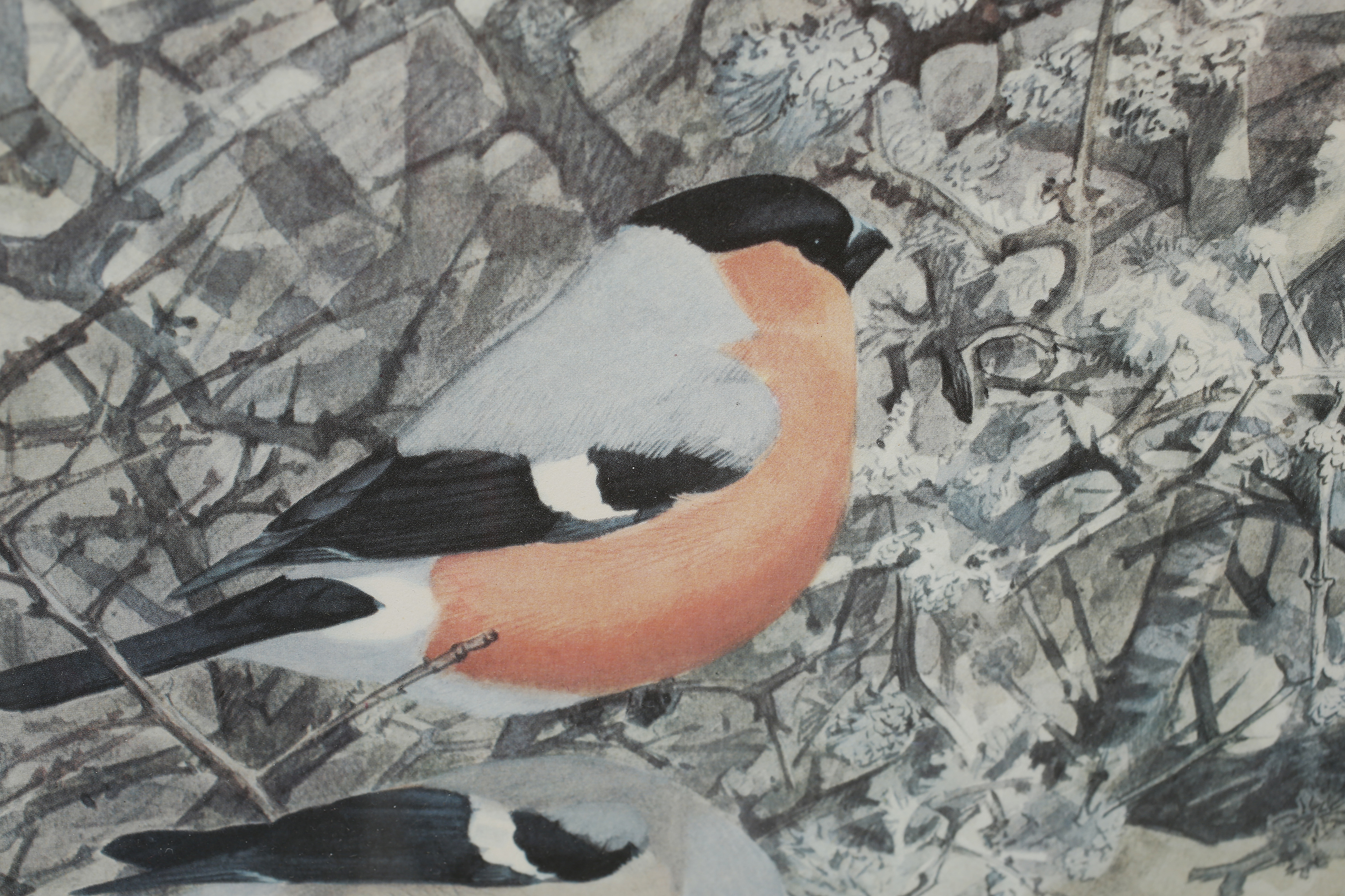 LARS JONSSON, print, signed and numbered 118/200. - Bukowskis