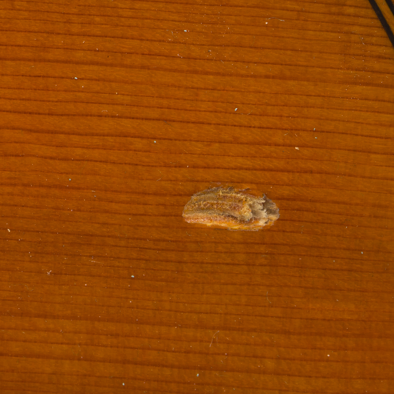 FIOL, Carl Hugo Ågren 1983, - Bukowskis