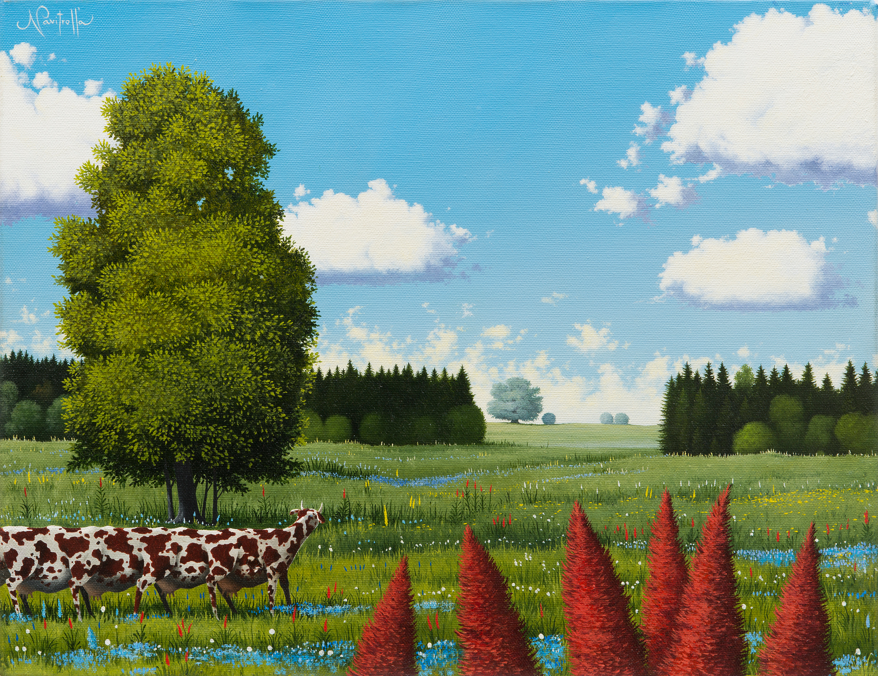 NAVITROLLA, öljy kankaalle, signeerattu ja a tergo päivätty 2008 ...