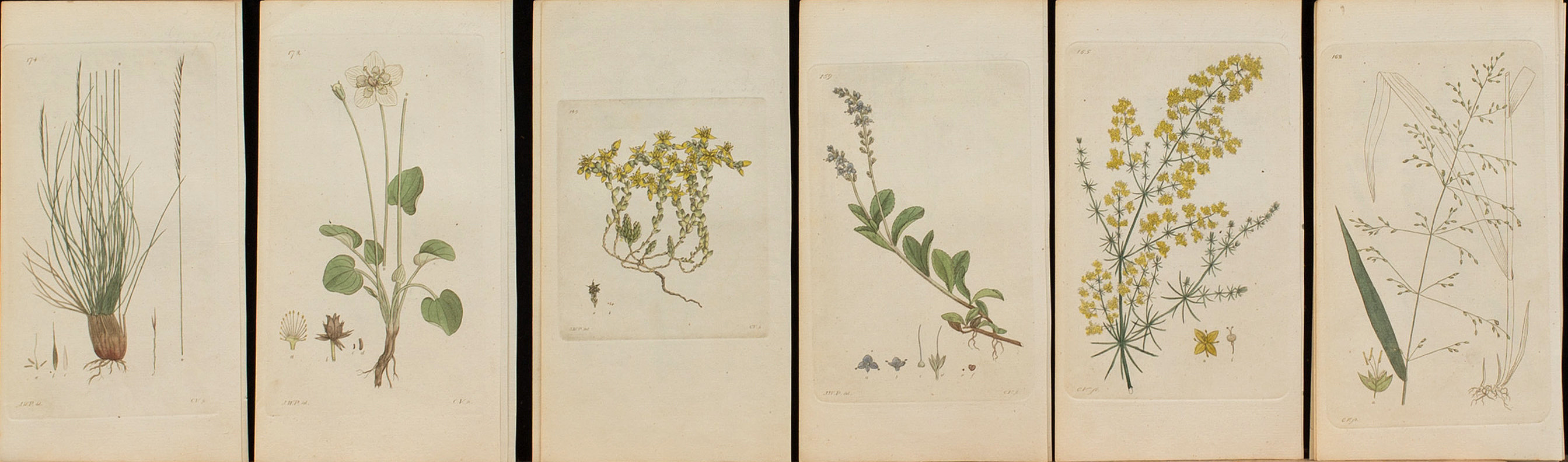 Johan Wilhelm Palmstruch, 20 st, kolorerade kopparstick, ur "Svensk ...