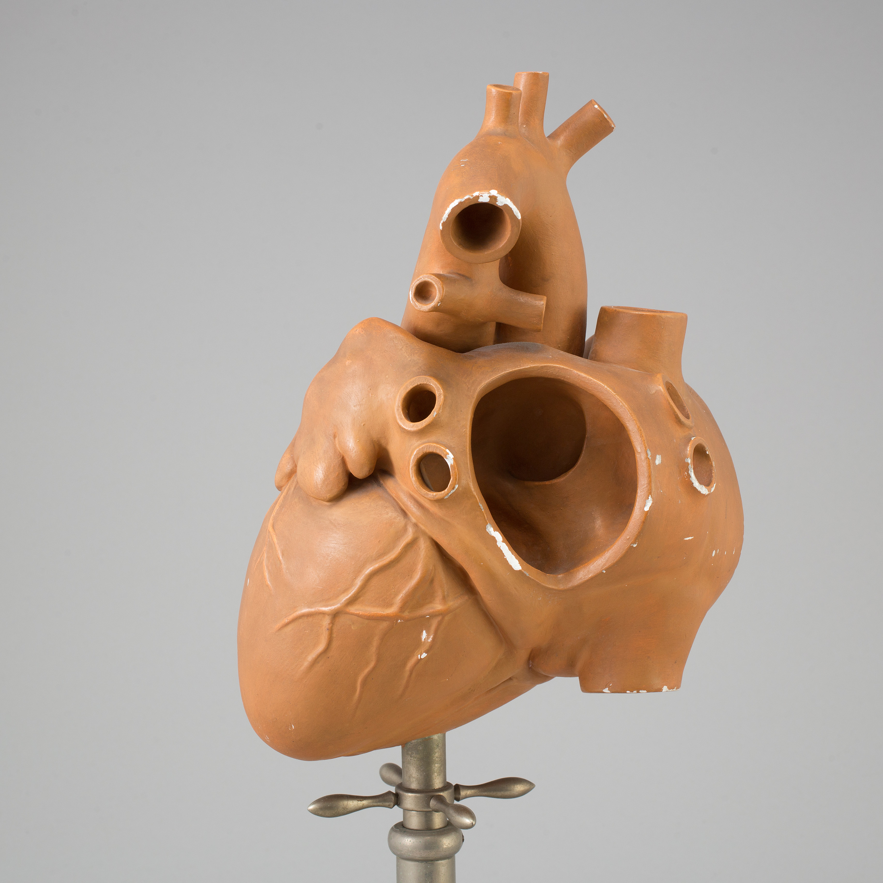 ANATOMISK MODELL, Berlin, omkring år 1900. - Bukowskis