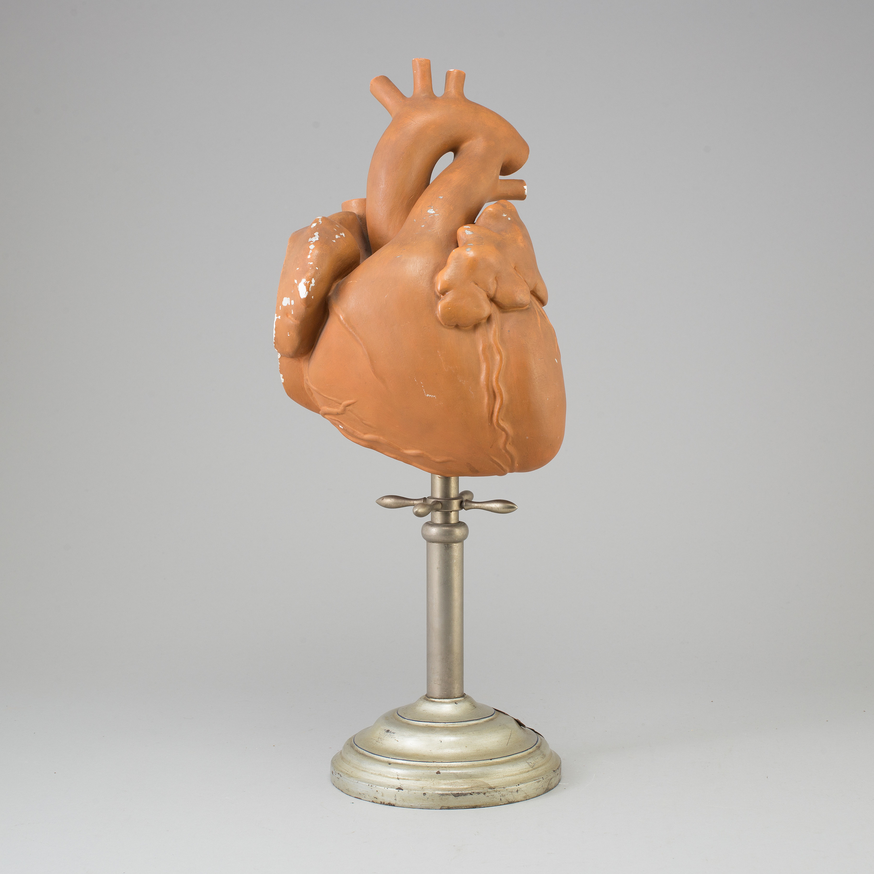 ANATOMISK MODELL, Berlin, omkring år 1900. - Bukowskis