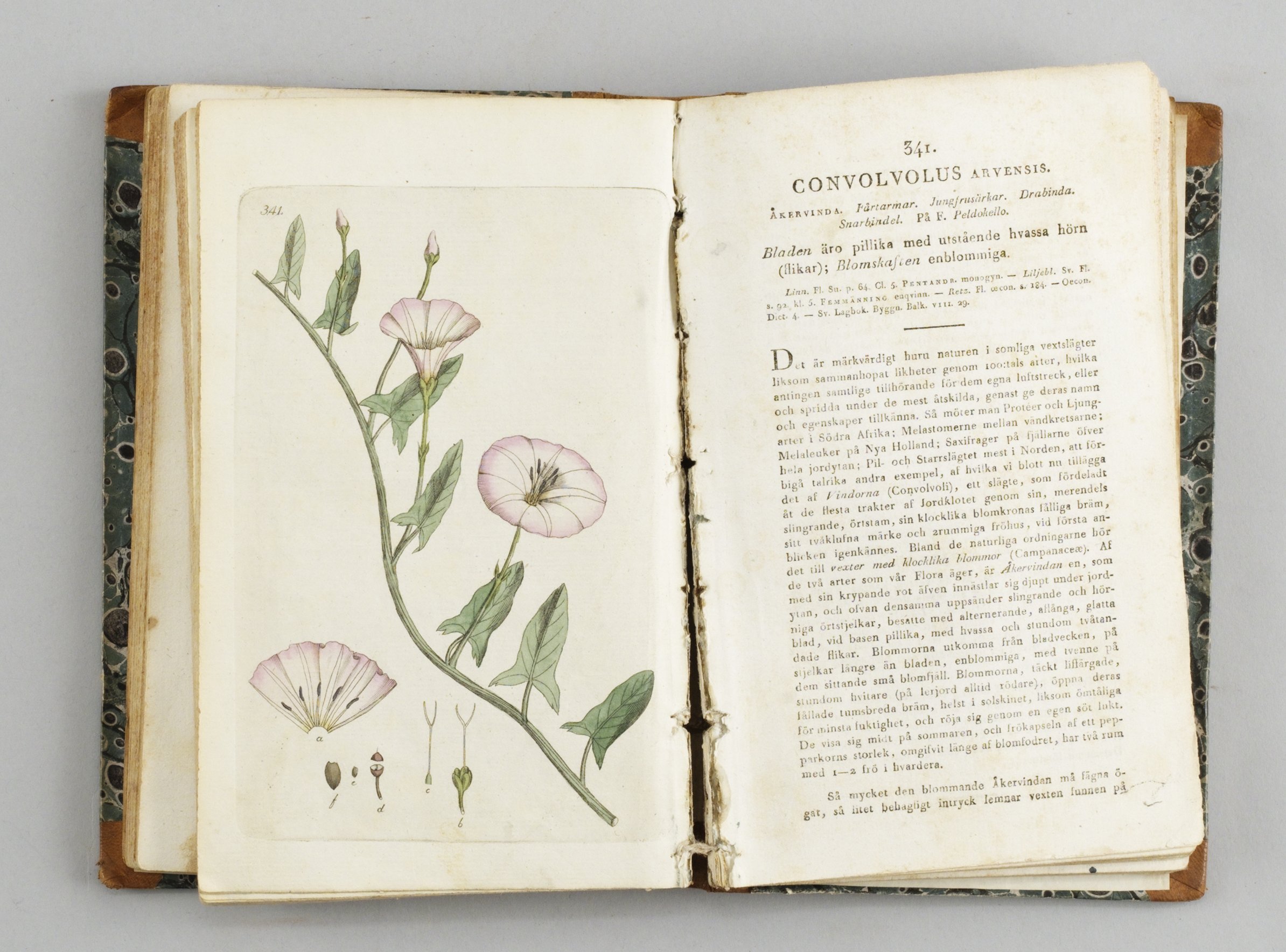 Johan Wilhelm Palmstruch, "Svensk botanik", 8 volymer. - Bukowskis