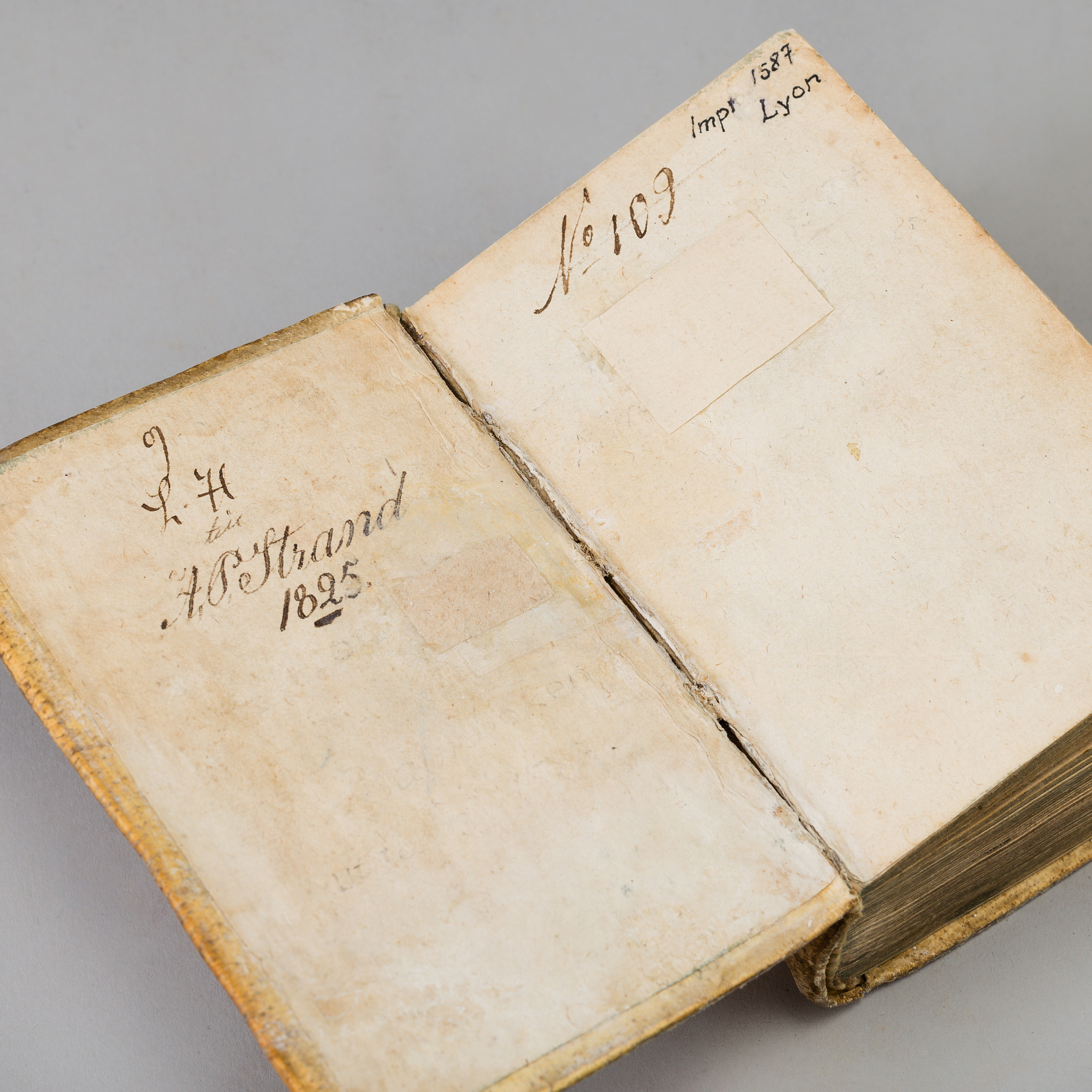 BOK, Caelianus Firmanus Lactantius, Lyon 1587. - Bukowskis